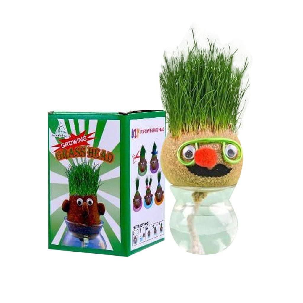 DIY GROWING GRASS HEAD – NIKKI'S The Gift Shop