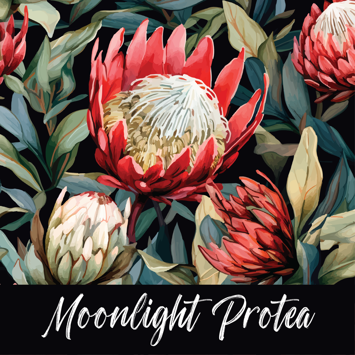 MOONLIGHT PROTEA – Tagged "FAMILY BAGS" – NIKKI'S The Gift Shop