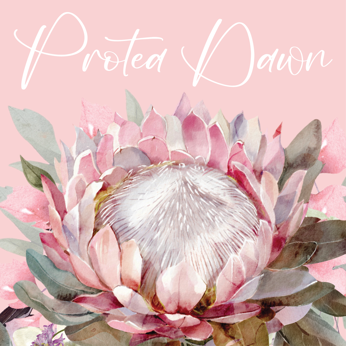 PROTEA DAWN – Tagged "PURSES" – NIKKI'S The Gift Shop